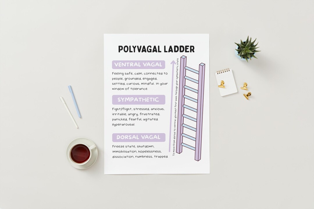 Polyvagal Ladder Printable - Polyvagal Theory - Etsy