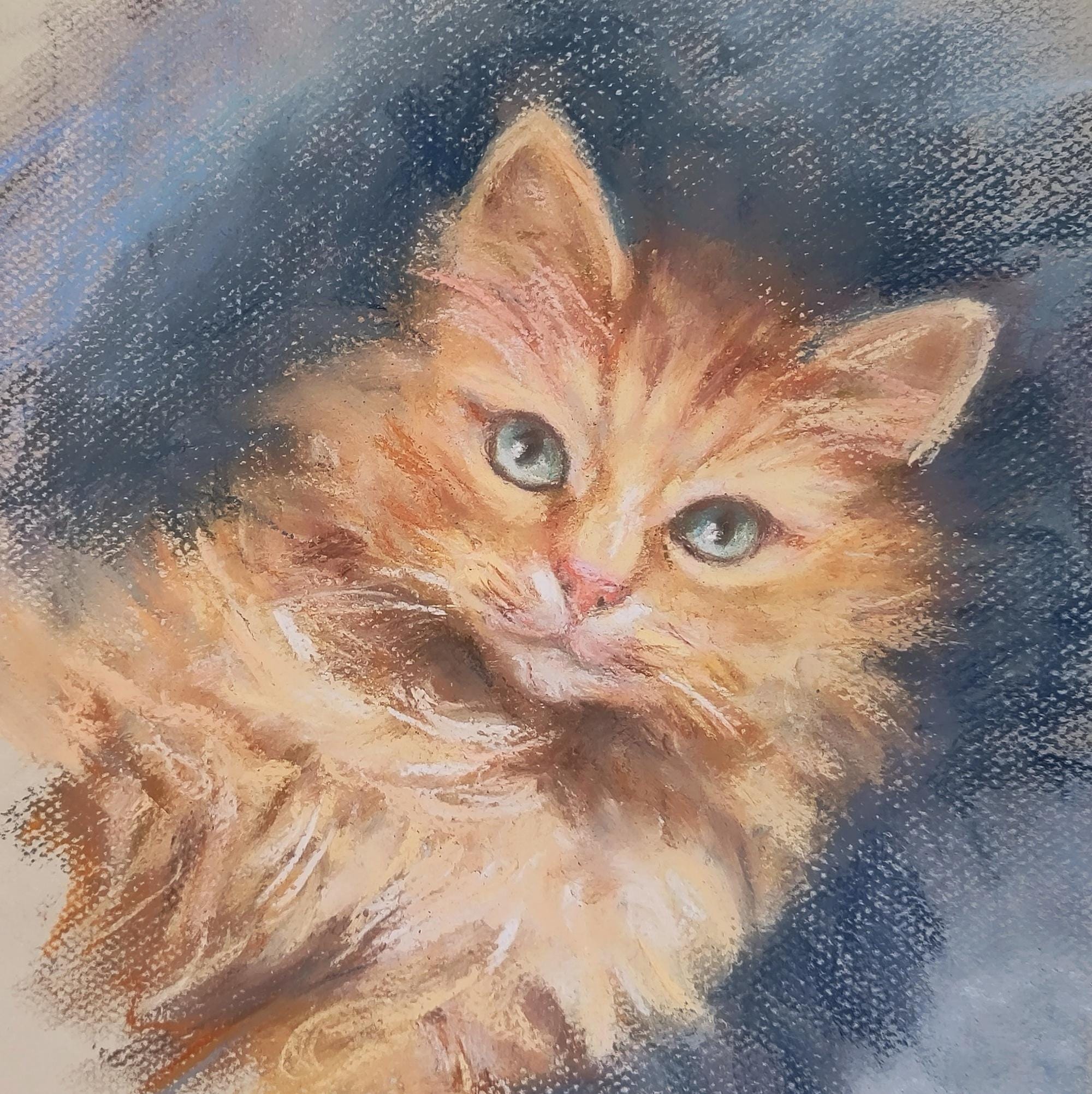 Custom Pastel Cat Portrait Realistic Fluffy Kitten Painting ...
