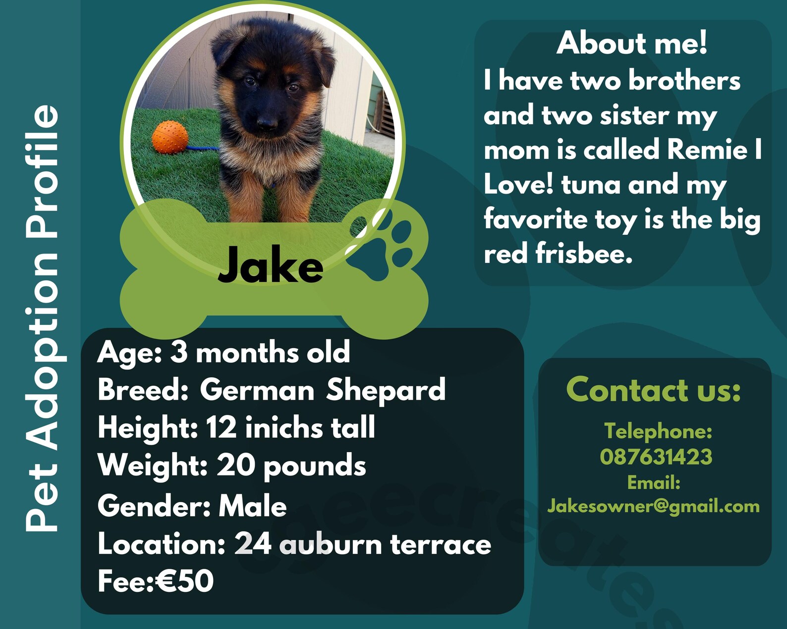 Adoptable Dog Poster Set | Editable Printable Art | 29 X 23cm |multiple ...