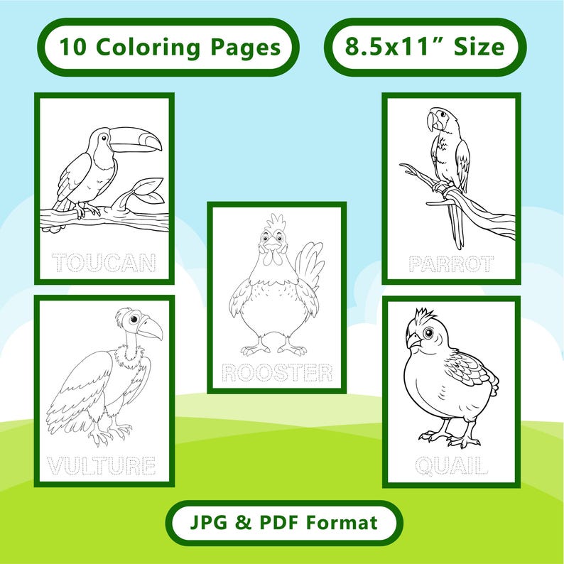 10 páginas fáciles para colorear de aves / Identificación de aves ...