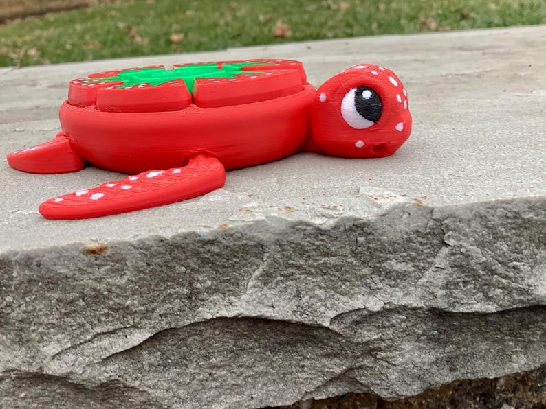 Strawberry Turtle Fidget Clicker Toy – Stress Relief and Sensory Play ...