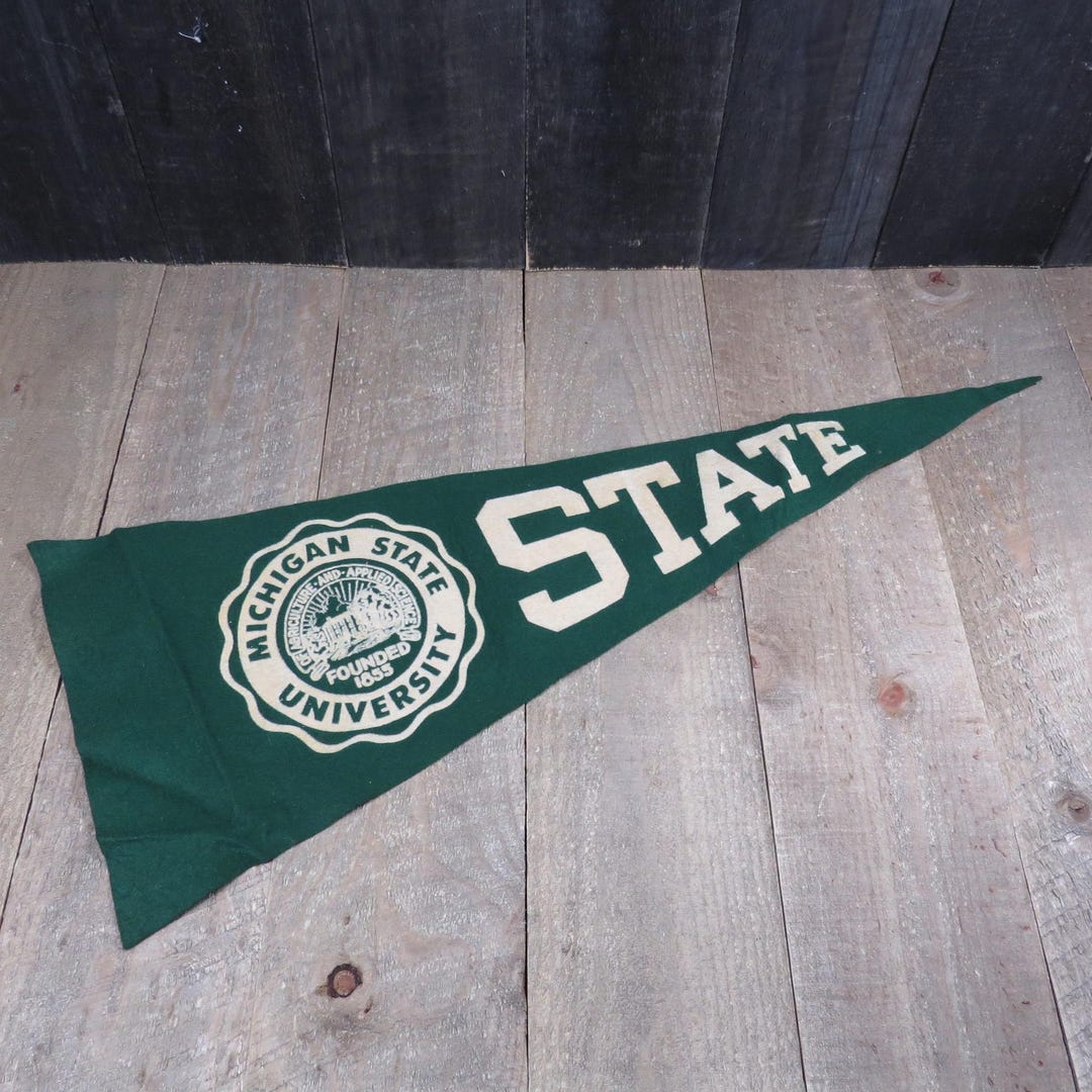 Vintage Michigan State University Pennant - Etsy