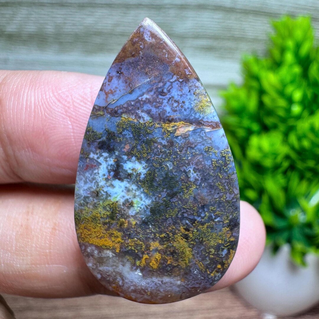 Opalized Petrified Wood Garut Natural : Rare Motif / Indonesia Gemstone ...