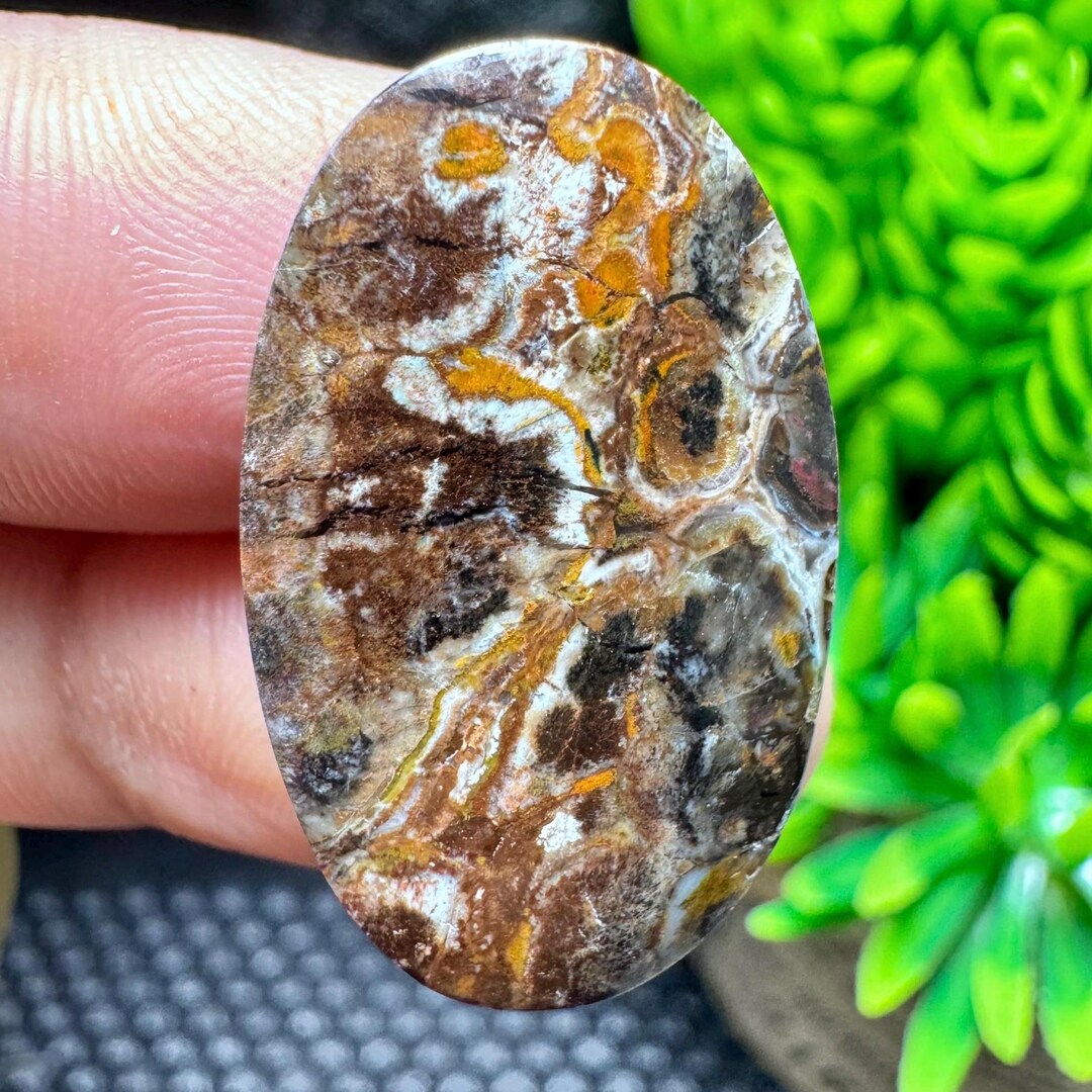 Plume Borne Native Copper- Agate Petrified Wood - Opalized Wood - Borni ...