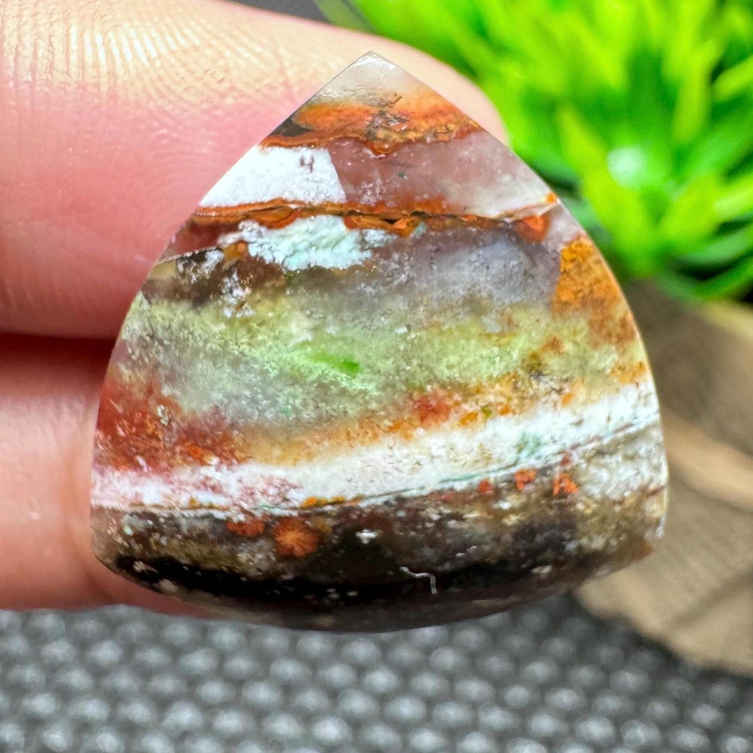 Multicolor Opalized Pertrified Wood Cabochon Garut Natural .size ...