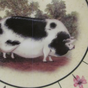 Farmhouse Pig Collectors Kitchen Wall Decor Pig Plate With Wall Display ...