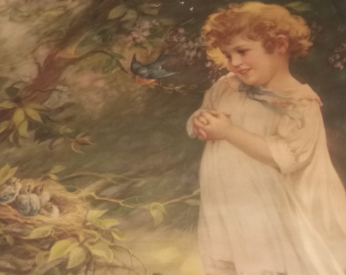 Antique Zula Kenyon Print / the Bluebird of Happiness / 1930 - Etsy