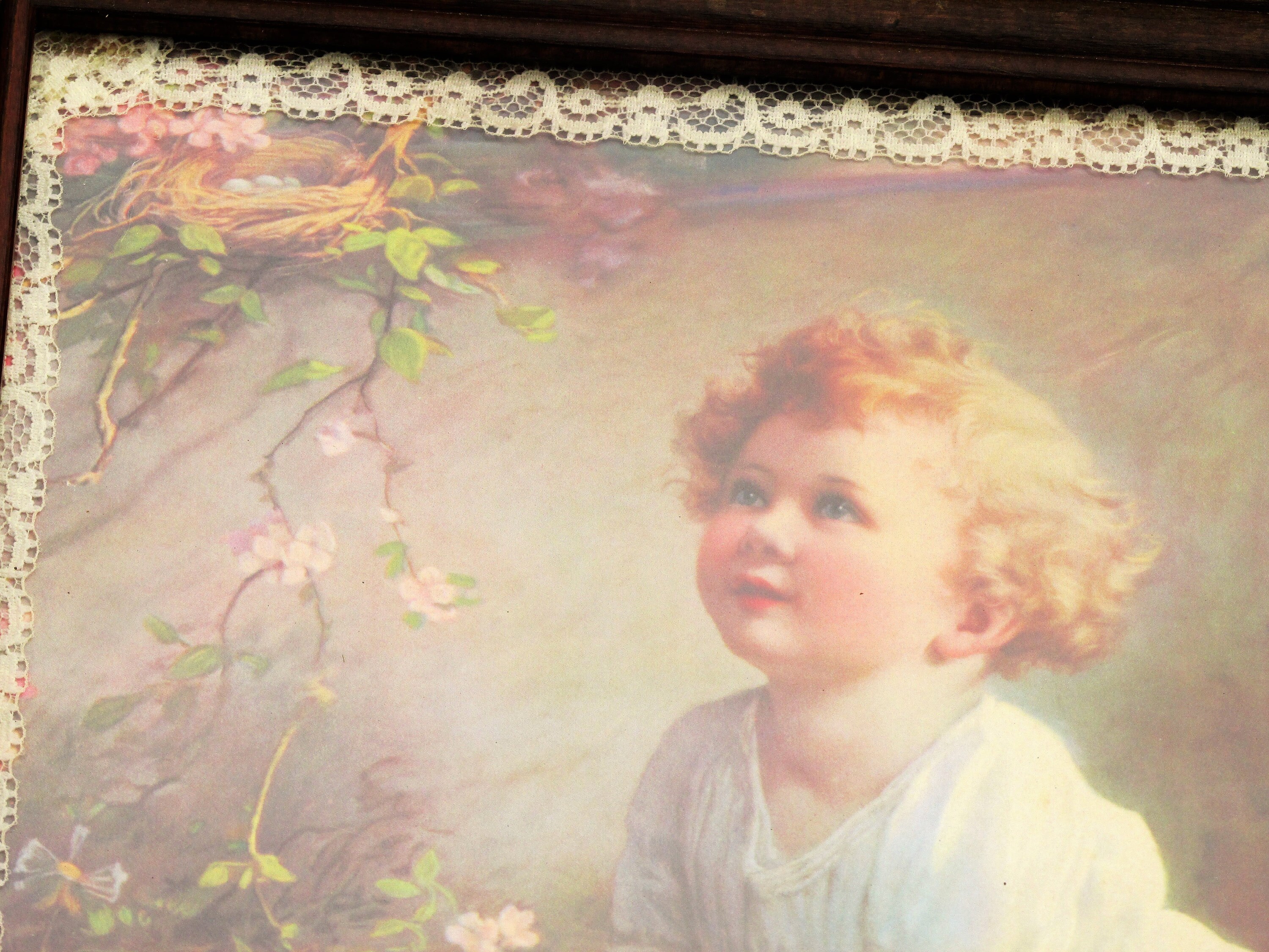 Artist Zula Kenyon's Home of the Bluebird Framed Print - Etsy