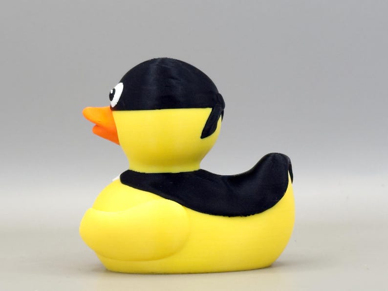 Masked Bandit Duck: 3D Printed Collectible Duck - Etsy