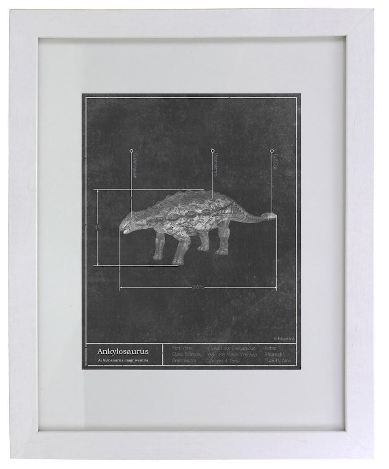 Ankylosaurus Blueprint Print, Vintage Dinosaur Art (11x14 & 12x18 ...