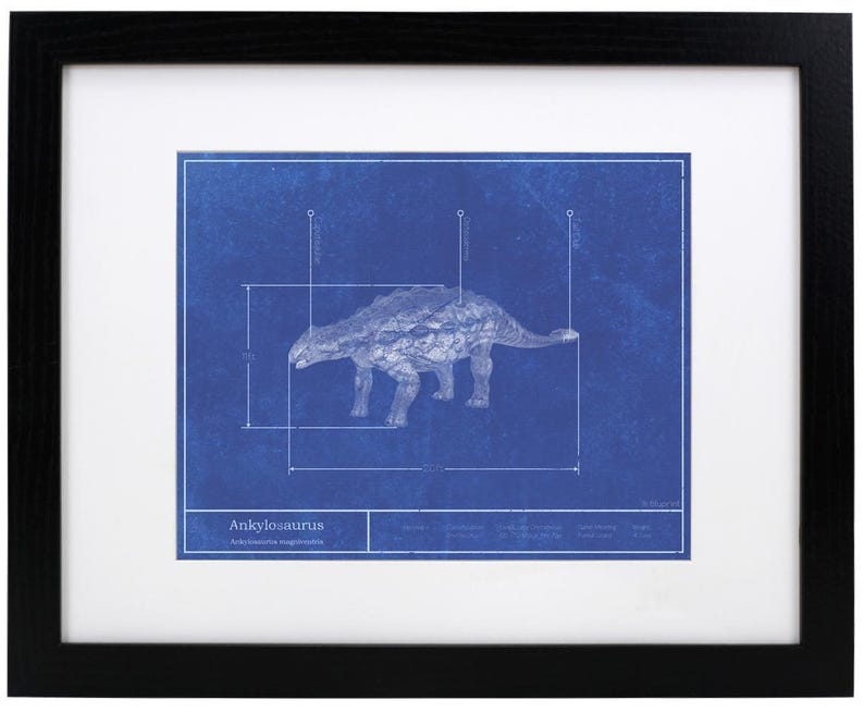 Ankylosaurus Blueprint Print, Vintage Dinosaur Art (11x14 & 12x18 ...