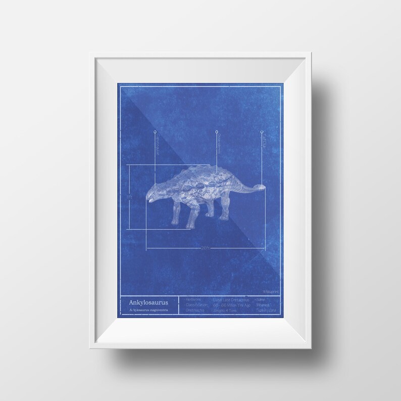 Ankylosaurus Blueprint Print, Vintage Dinosaur Art (11x14 & 12x18 ...
