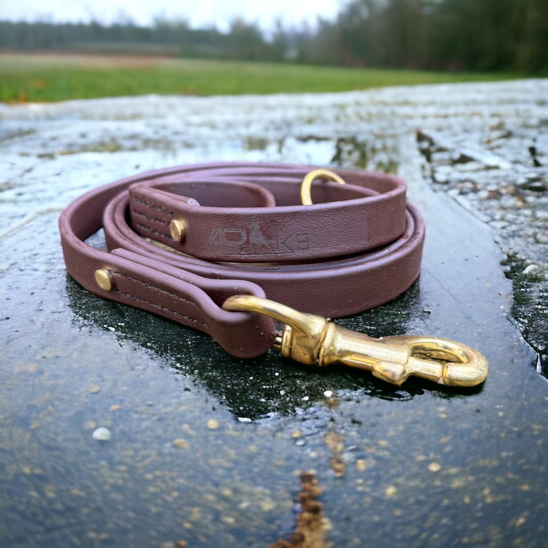 Heavy Duty Biothane Dog Lead: Waterproof, Strong, Customizable - Etsy