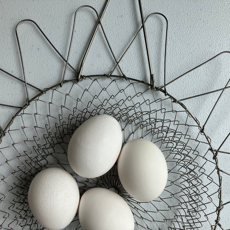 Wire Egg Basket - Etsy