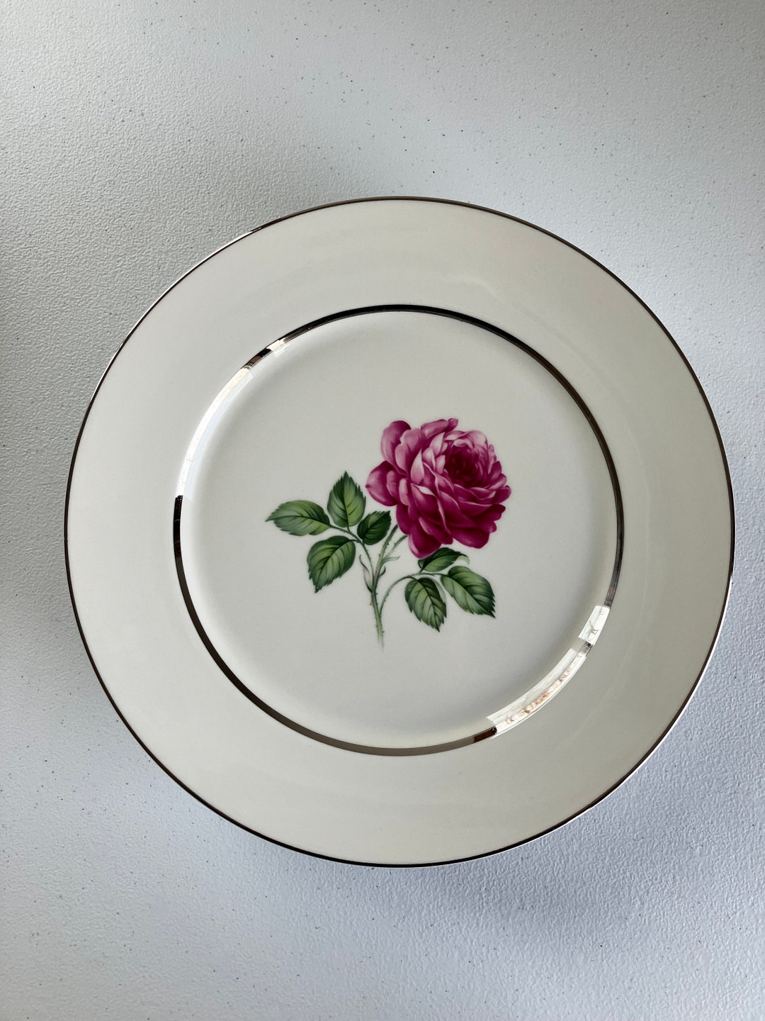 Vintage Embassy Vitrified China Dinner Plates Roses Silver Rimmed Set ...