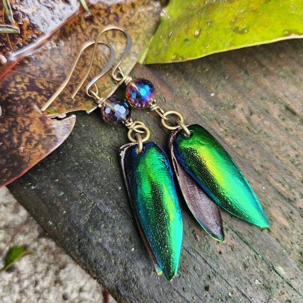 Jewel Beetle Wings - Etsy