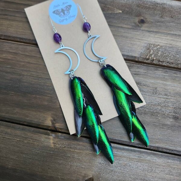 Jewel Beetle Wings - Etsy