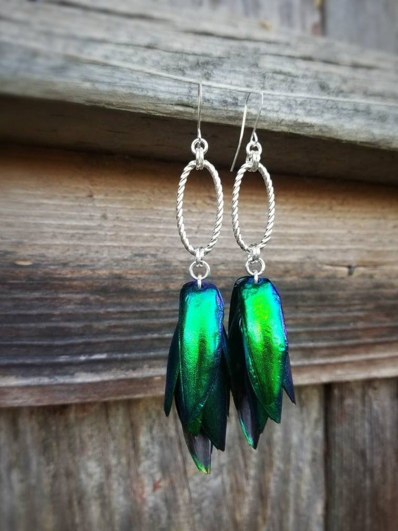 Layered Jewel Beetle Wing Earrings Insect Jewelry Scarab - Etsy