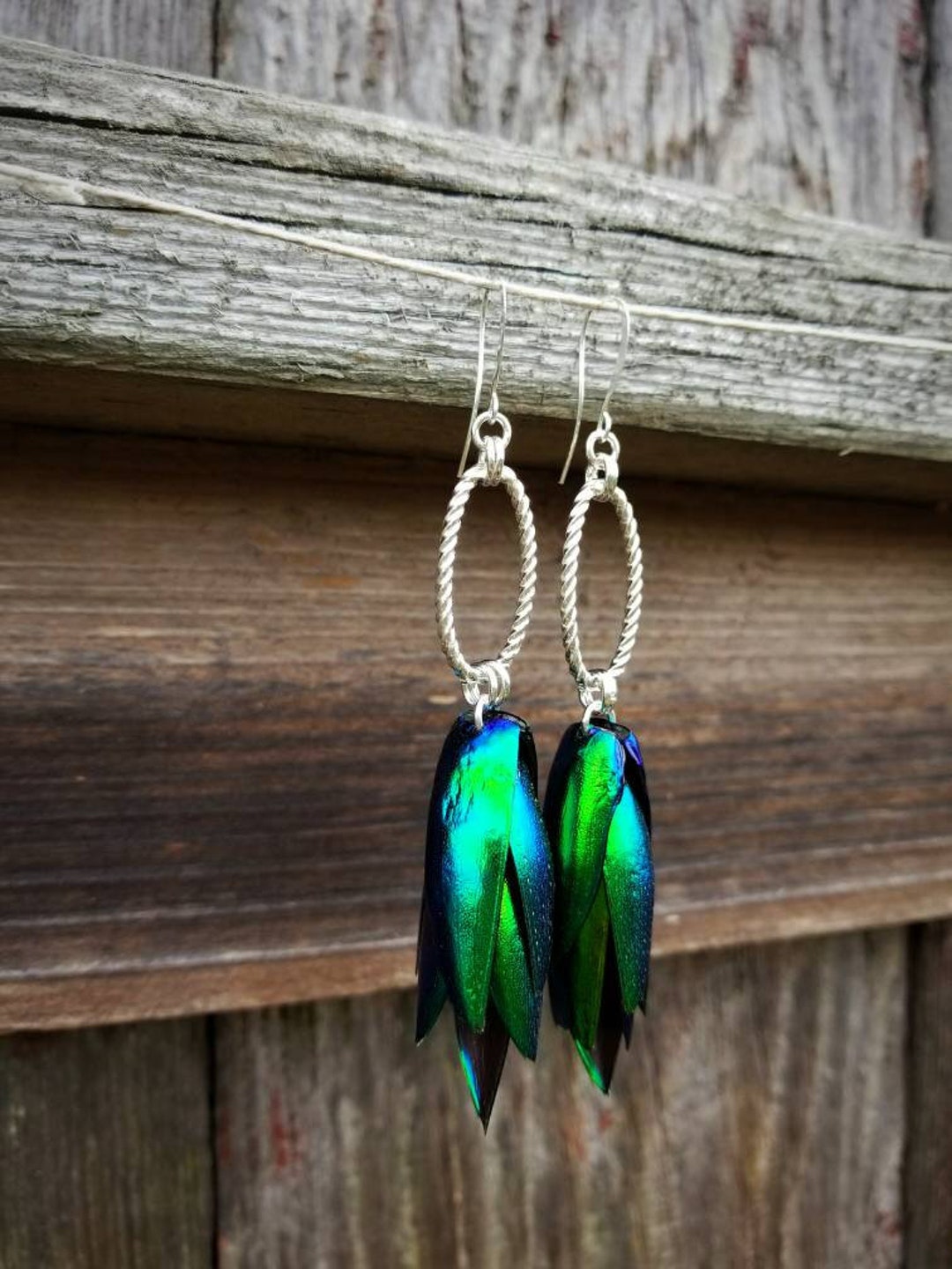 Layered Jewel Beetle Wing Earrings, Insect Jewelry, Scarab Wings ...