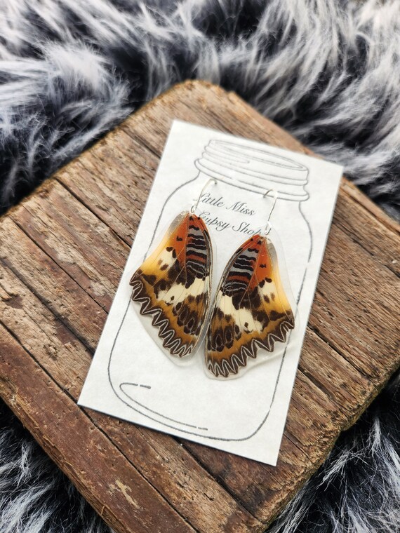 Real Colorful Butterfly