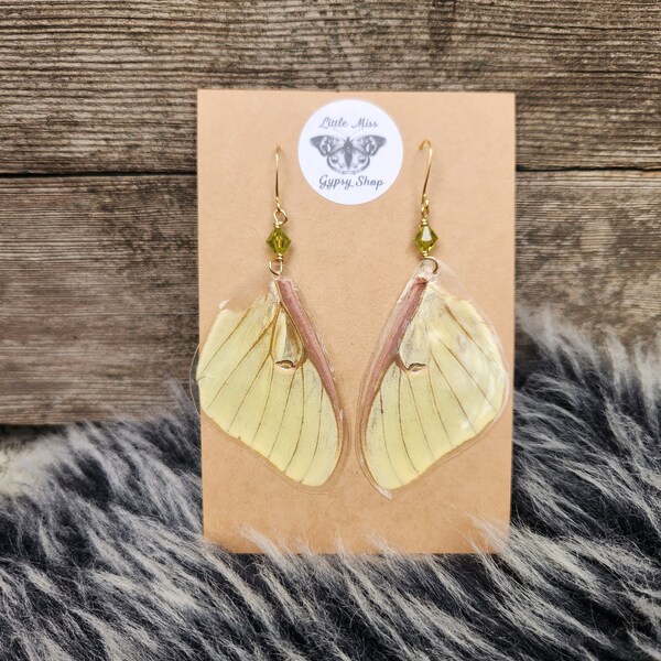 Luna Moth Earrings - Etsy