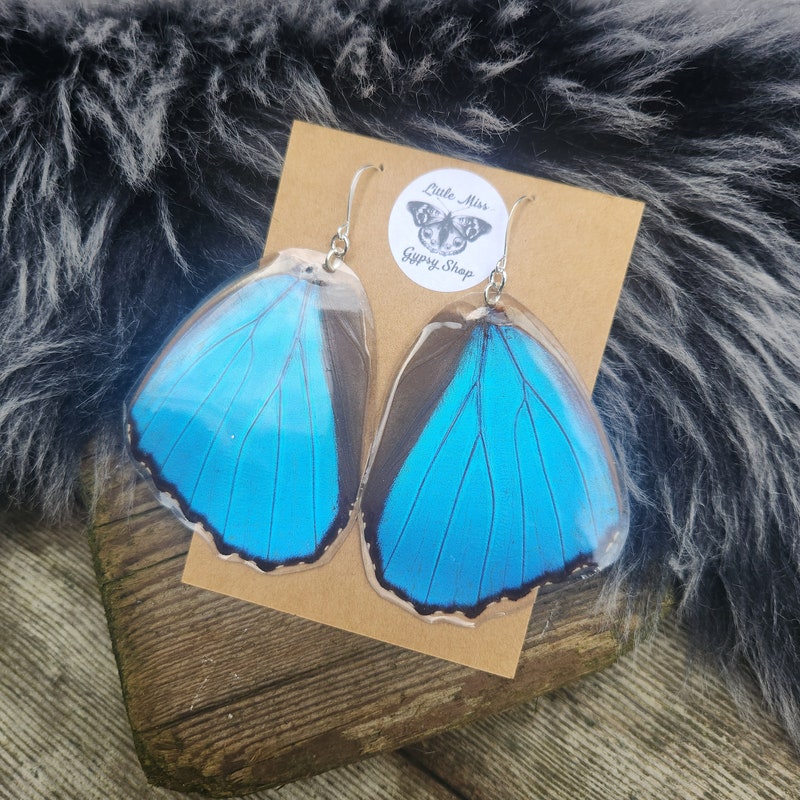 Resin Coated Butterfly Wings - Etsy