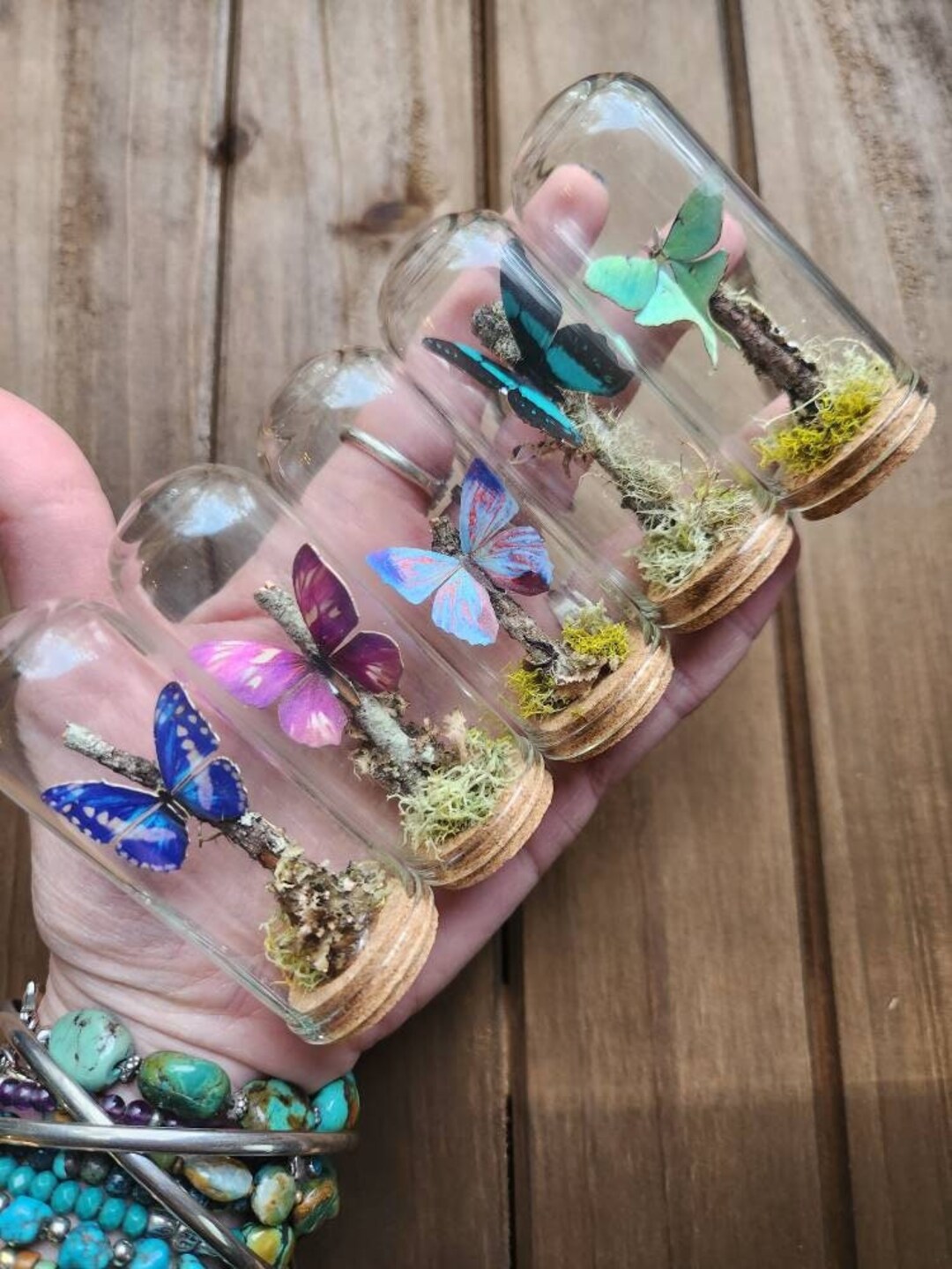 Mini Terrarium With Faux Butterfly, Luna Moth Terrarium, Small Glass ...