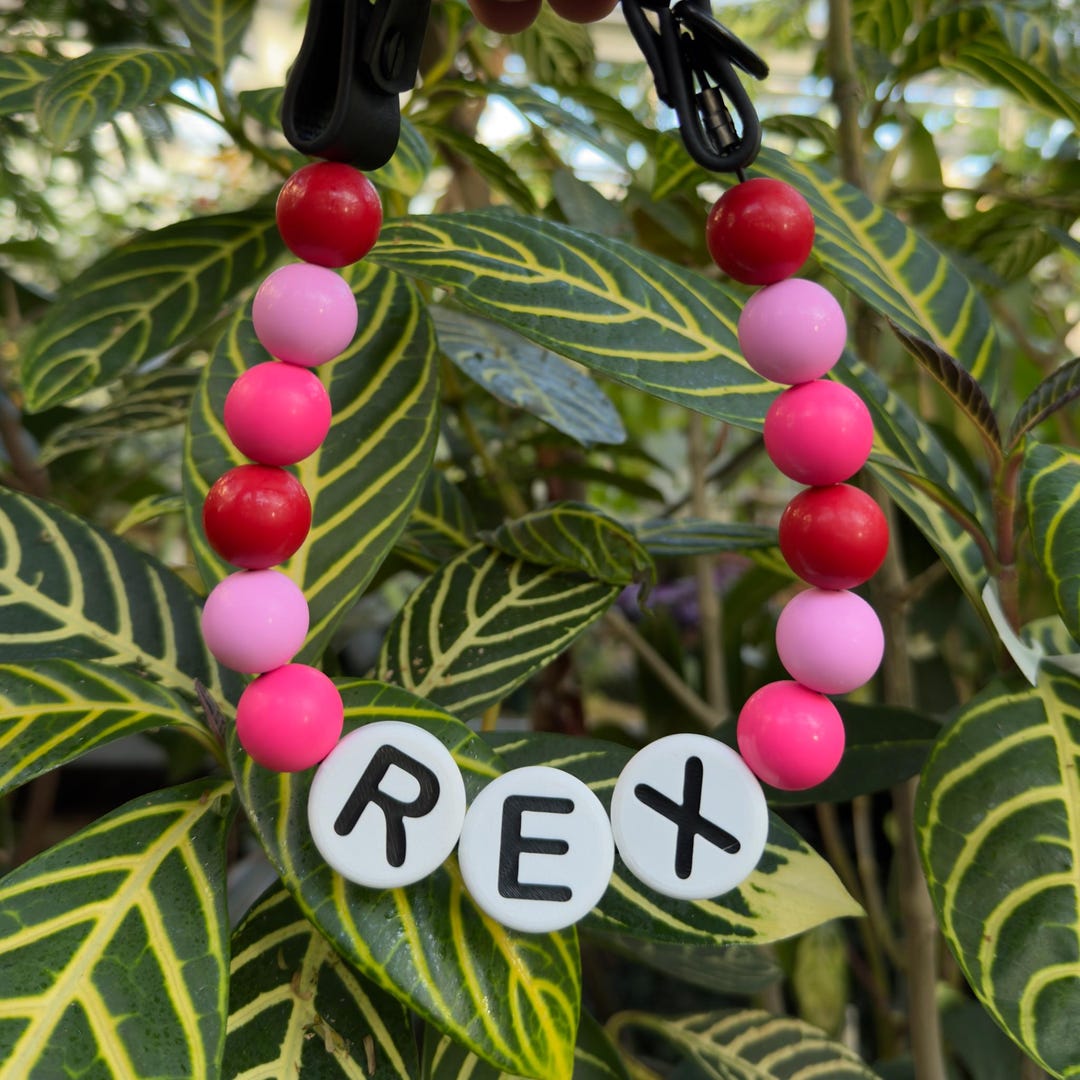 BERRY | Dog Friendship Collars | Hello Kitty - Etsy