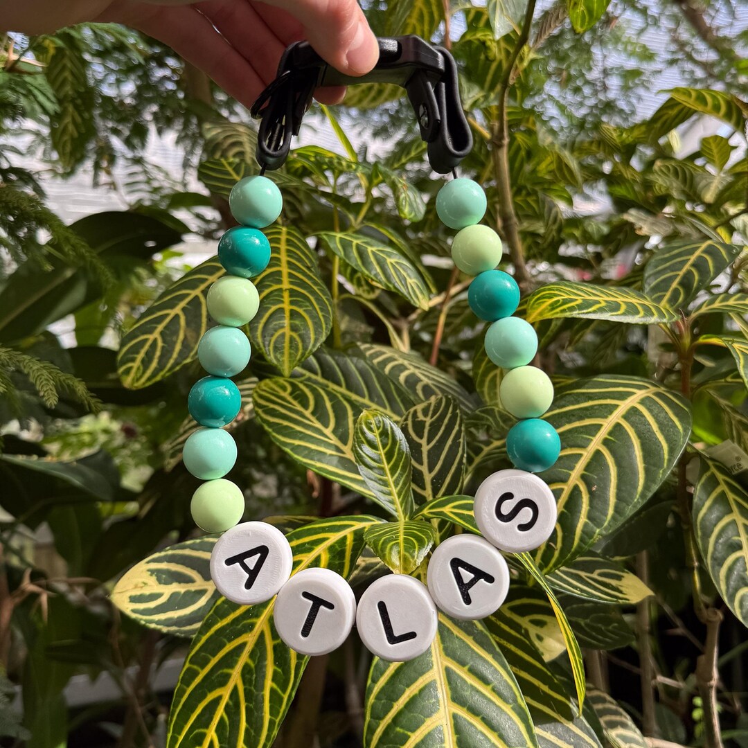 Earth | Dog Friendship Collars | Classic - Etsy