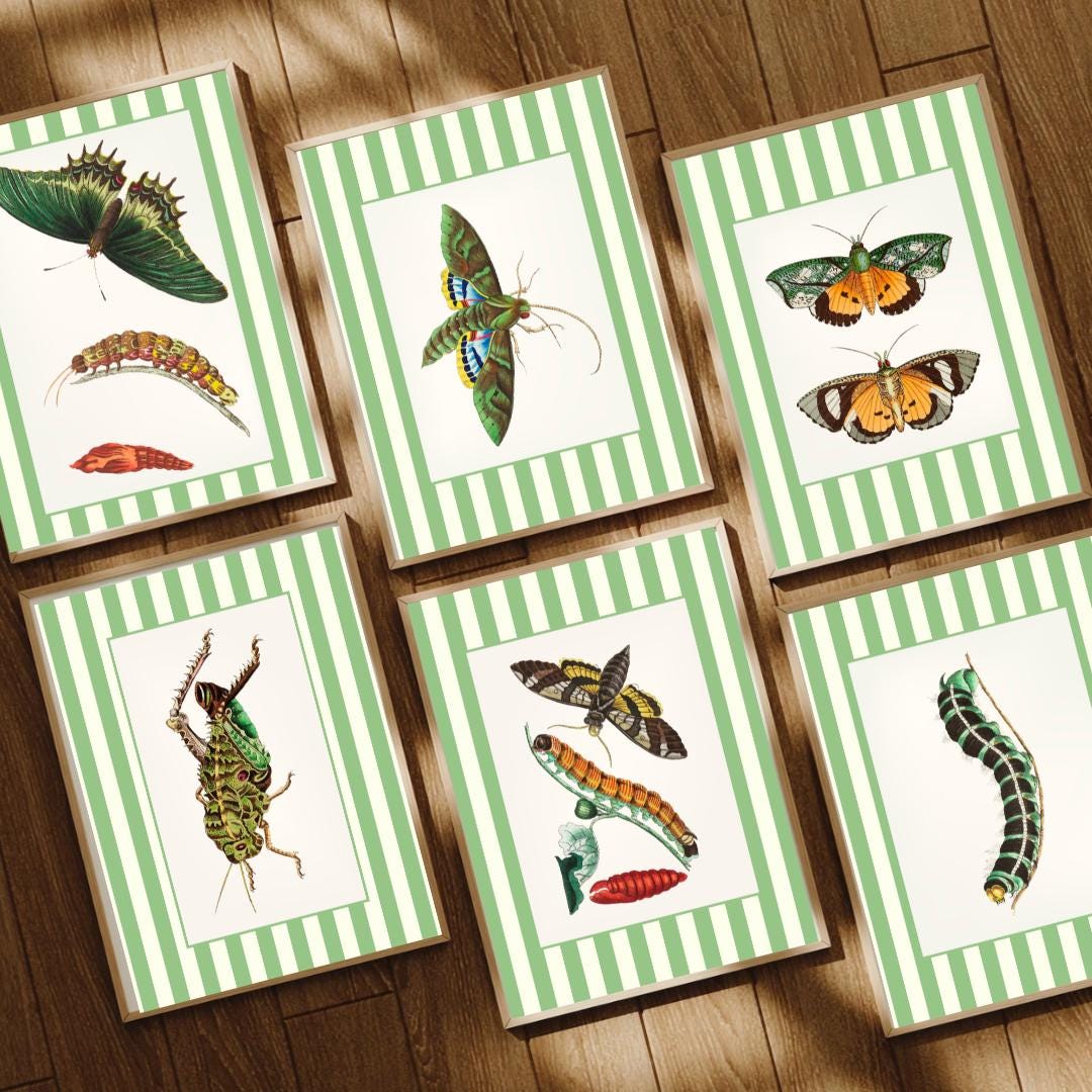 6 Green Striped Mat Botanical Insect Antique Art Prints, Whimsical ...