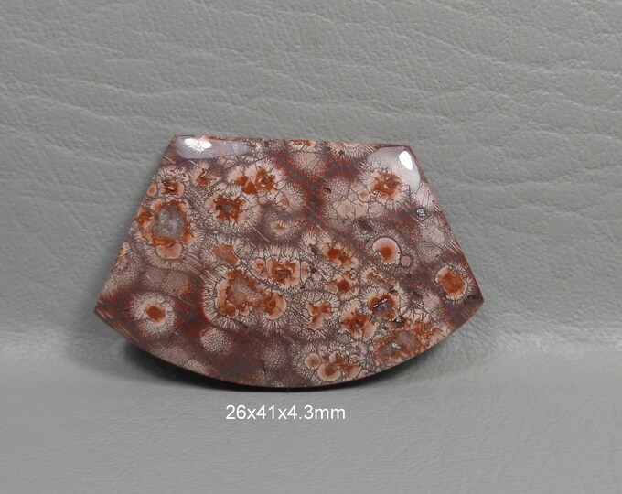 Birds Eye Rhyolite Cabochon - Etsy