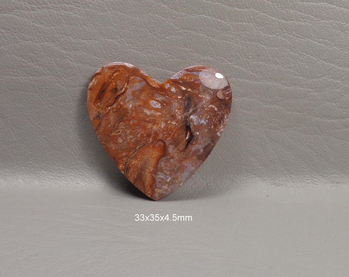 Coprolite Agatized Dinosaur Dung Cabochon - Etsy