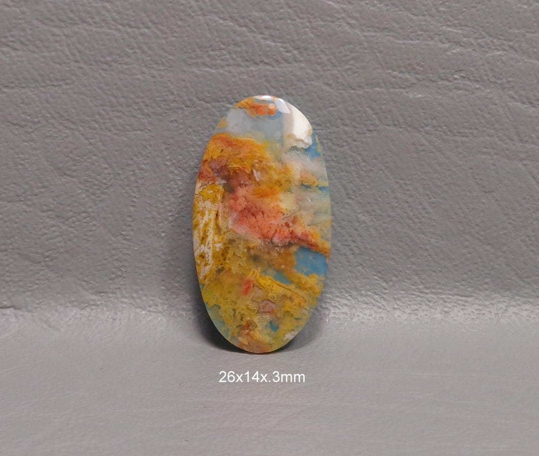 Feather Ridge Plume Agate Backed With Imitation Turquoise Cabochon - Etsy