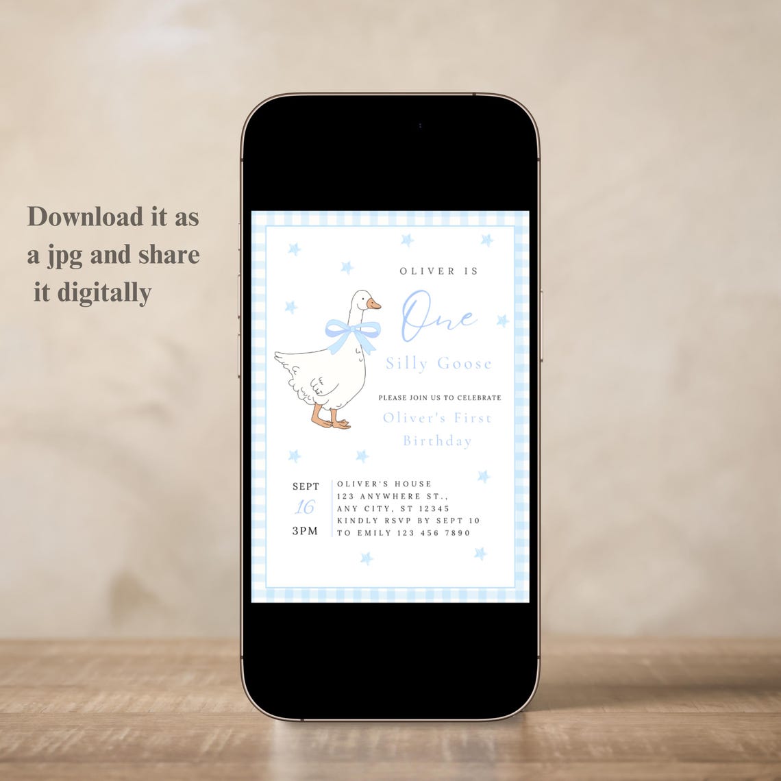 One Silly Goose Boy 1st Birthday Invitation, Silly Goose Party Invite ...