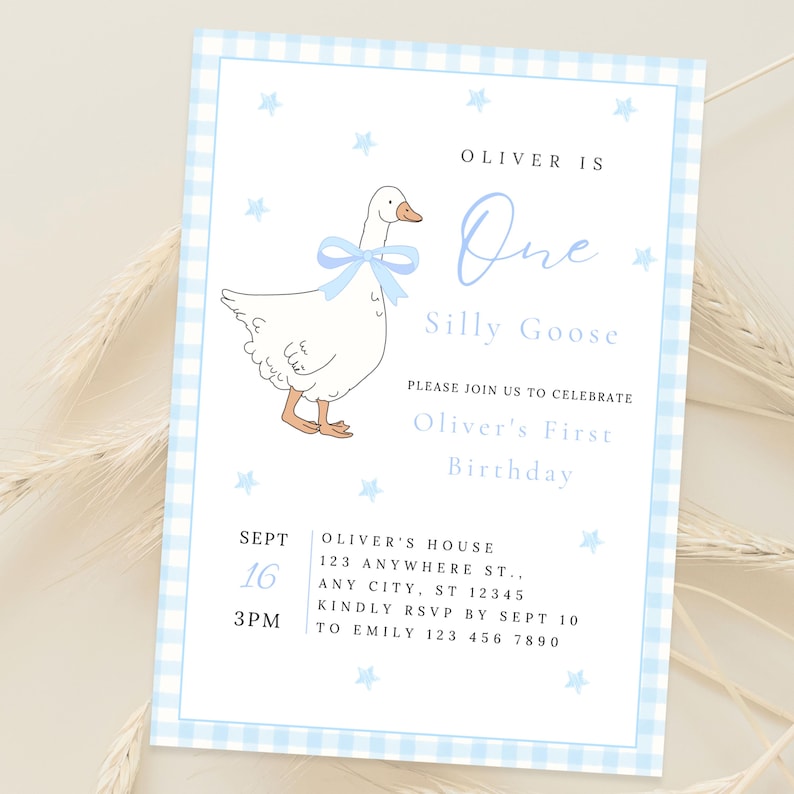 One Silly Goose Boy 1st Birthday Invitation, Silly Goose Party Invite ...
