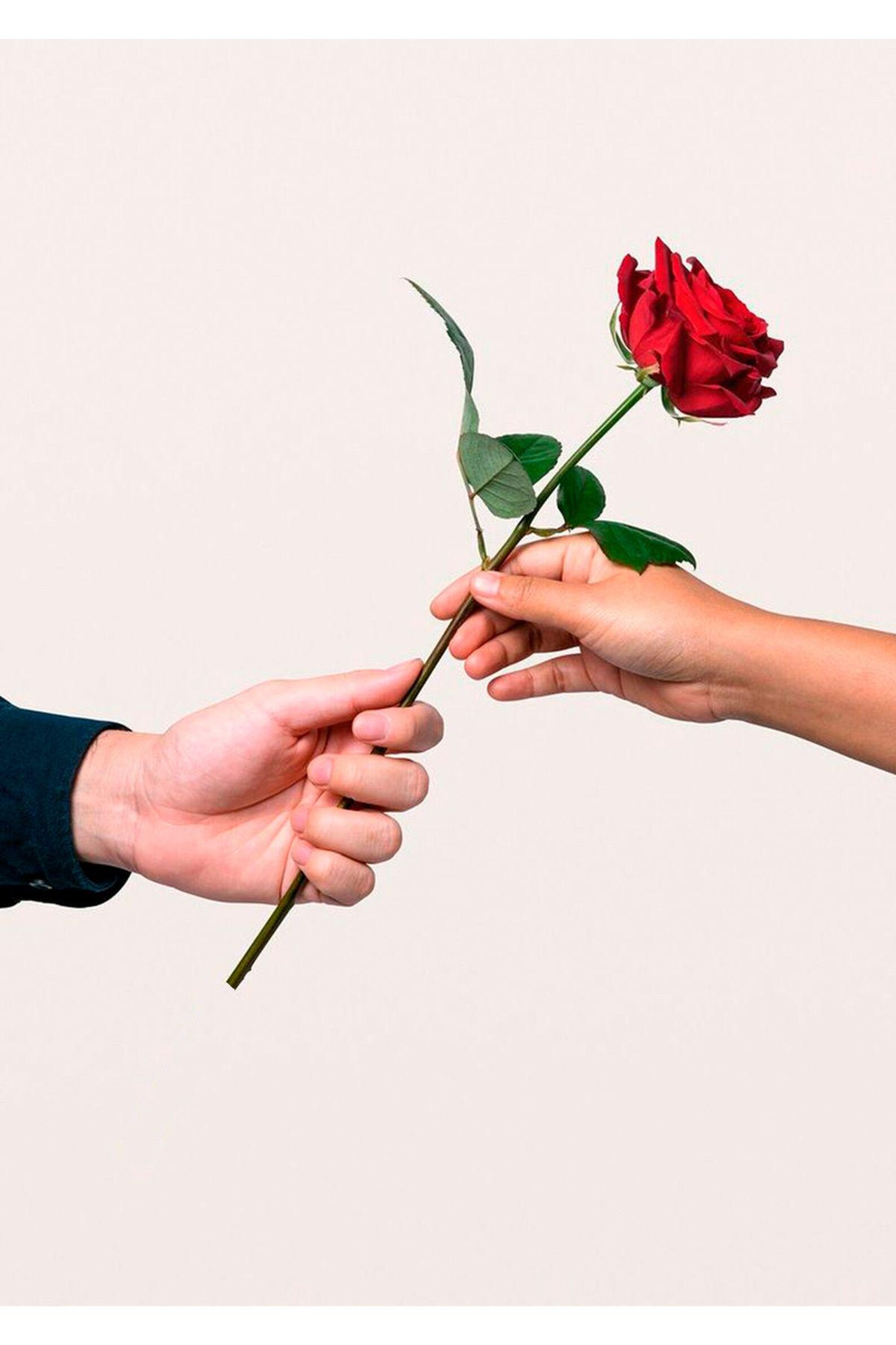 Special Boxed Red Eternal Rose for Loved One Artificial Flower Gift Box ...