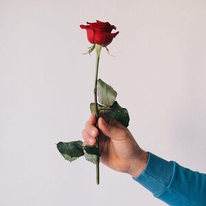 Special Boxed Red Eternal Rose for Loved One Artificial Flower Gift Box ...