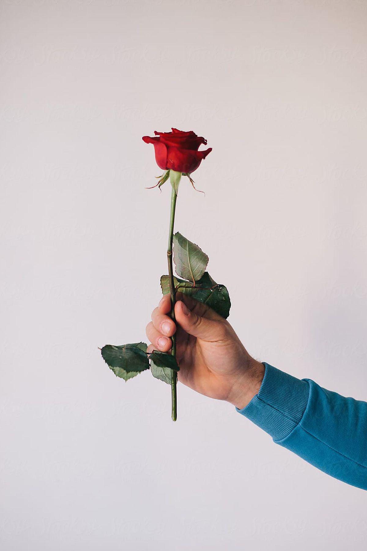 Special Boxed Red Eternal Rose for Loved One Artificial Flower Gift Box ...