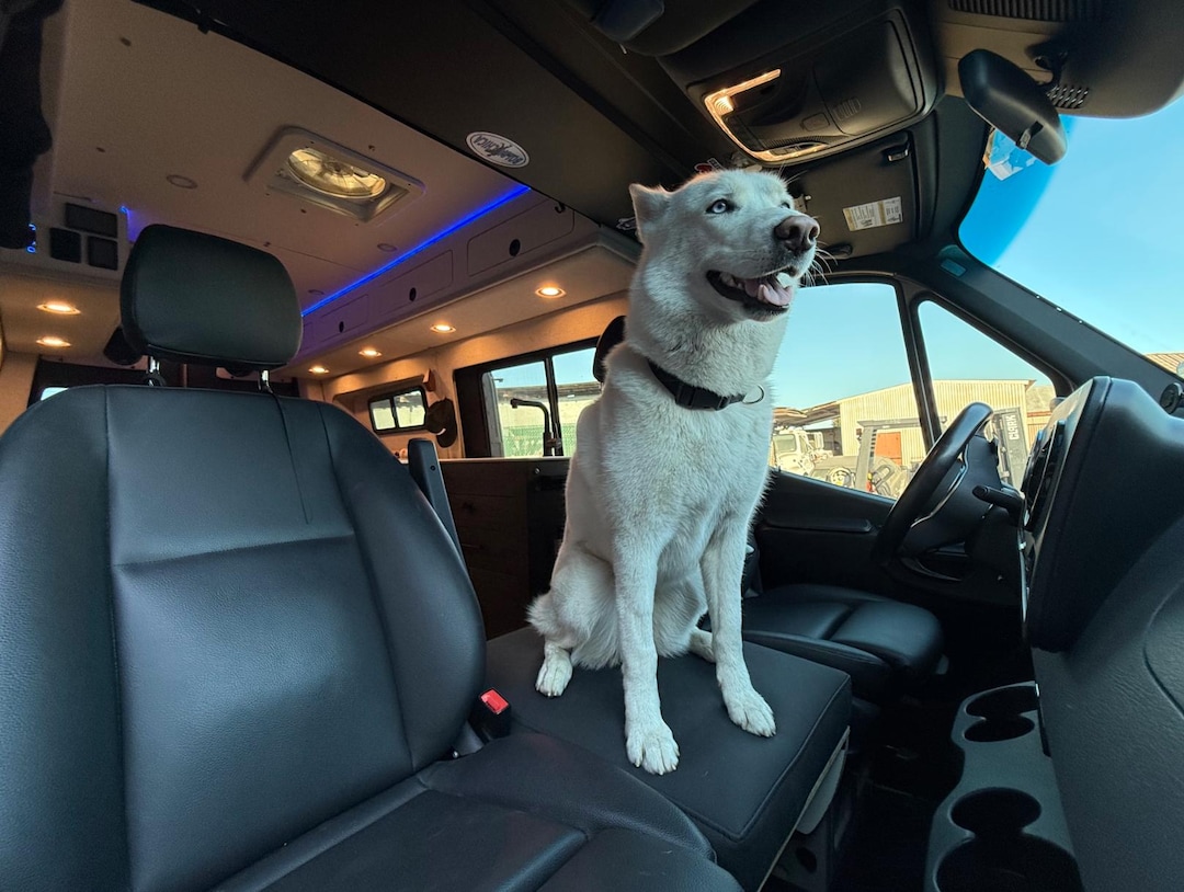 Platform Dog Bed – Sprinter Van 144 + 170 - Etsy