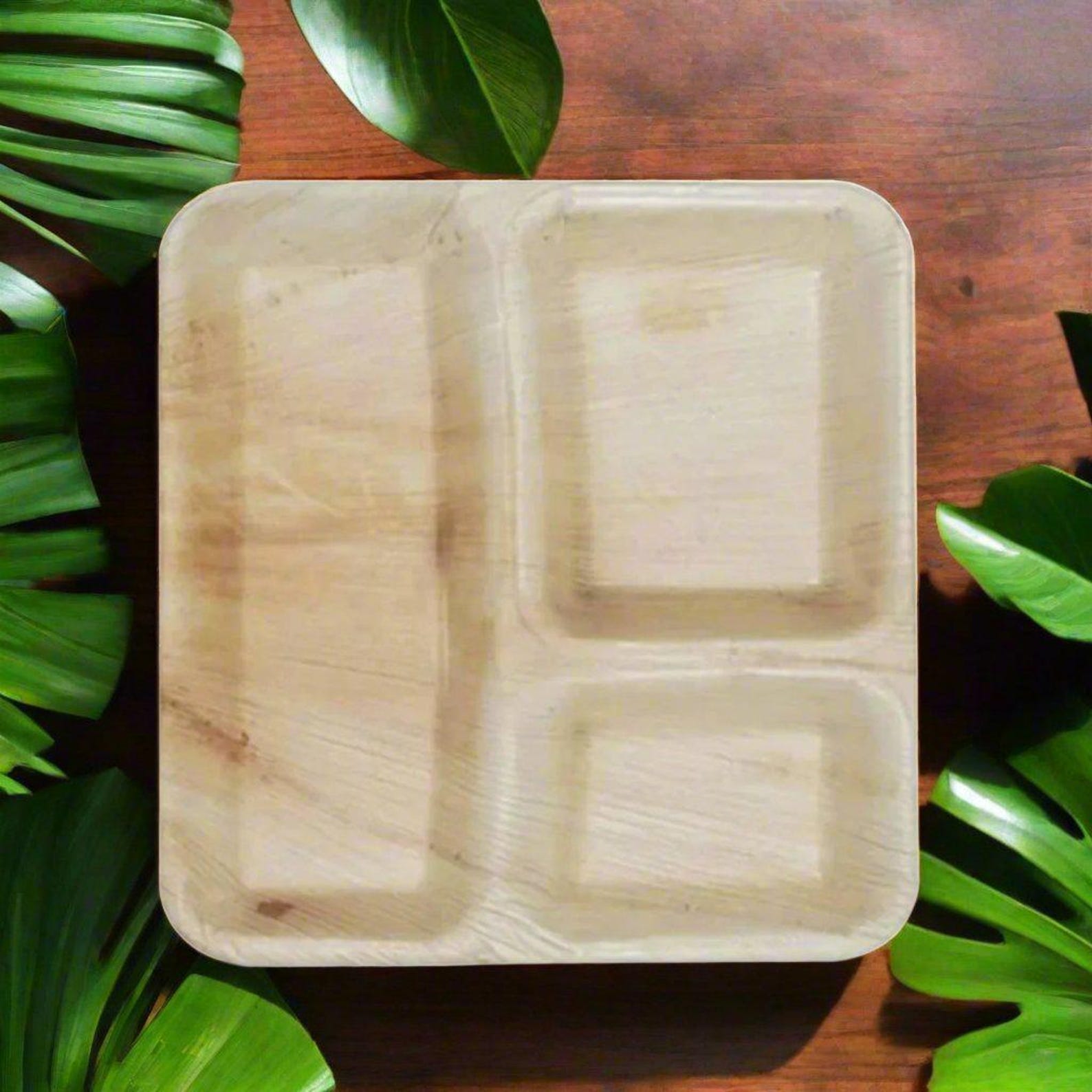 Premium 3 Compartments Areca Palm Leaf Plates Disposable |sturdy|eco ...