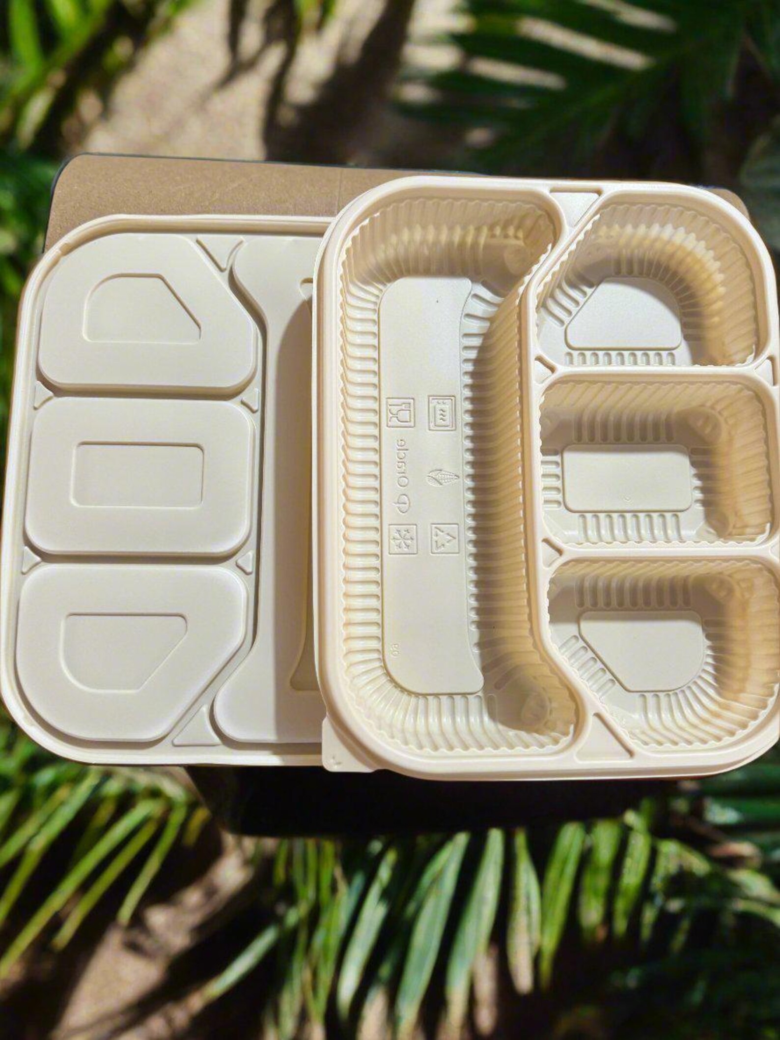 4 Compartment Corn Starch Take Away Containers|sturdy|eco Friendly ...