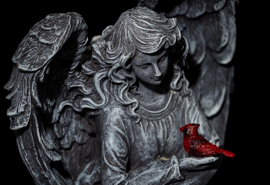 Angel Statue Wall Art With Male Red Northern Cardinal Bird Black White ...