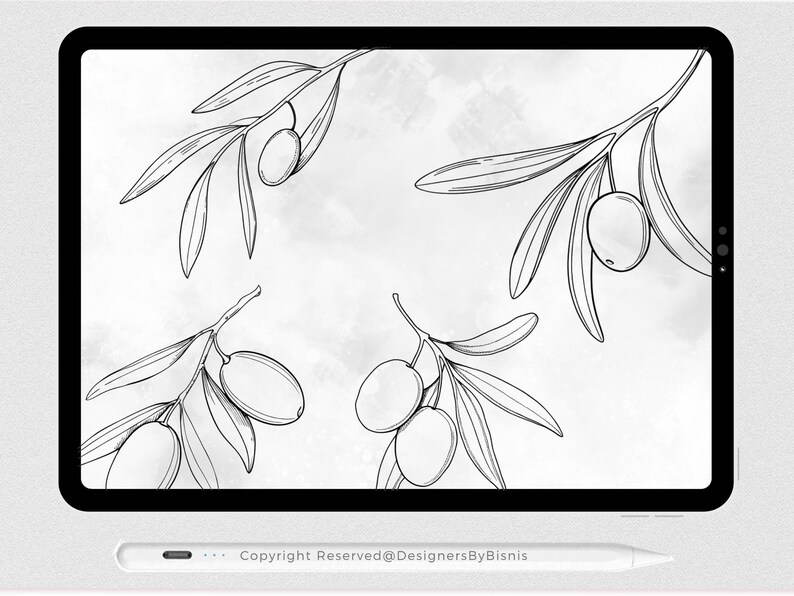 Olive Branch Procreate Stamps | 200+ Botanical Line Art Brushes ...