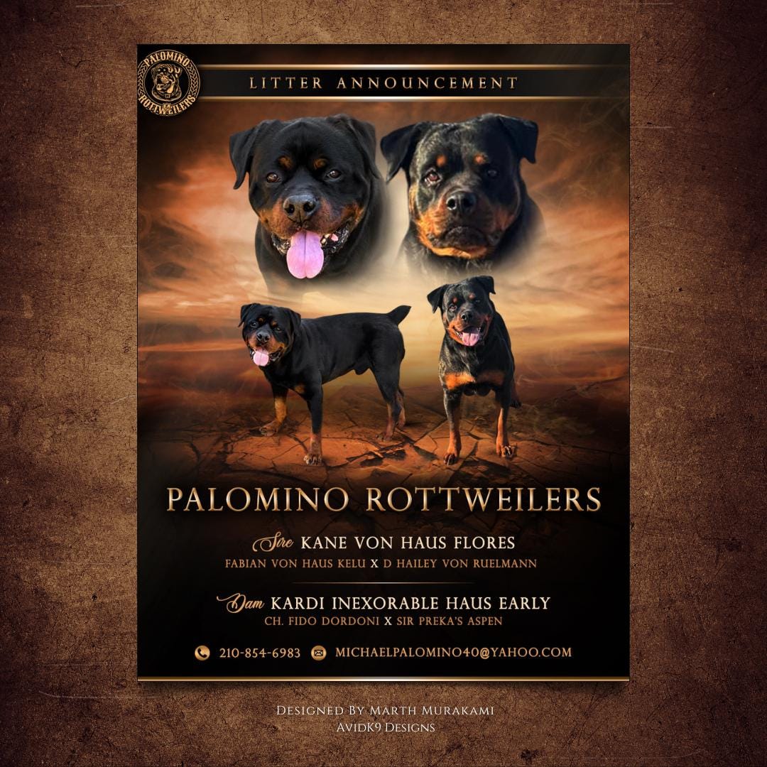 Custom Puppy Litter Announcement Flyer | Puppies | Dog Breeders ...