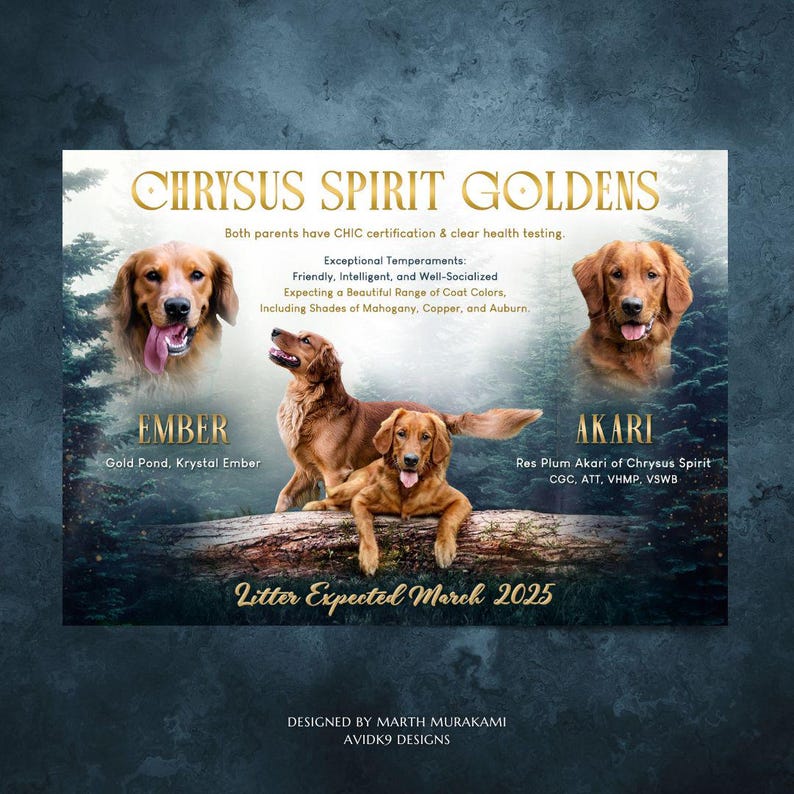 Custom Puppy Litter Announcement Flyer | Puppies | Dog Breeders ...