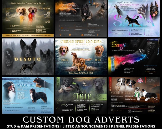 This item is unavailable - Etsy