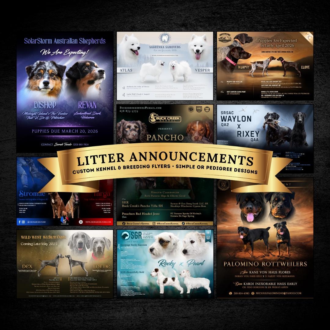 Custom Puppy Litter Announcement Flyer | Puppies | Dog Breeders ...