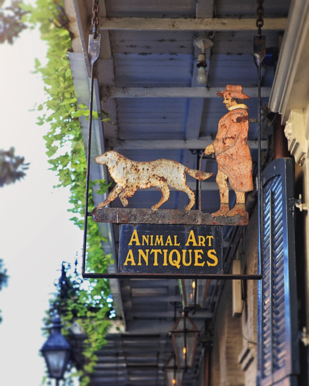 New Orleans Photography Print, French Quarter Animal Art Antiques Sign ...