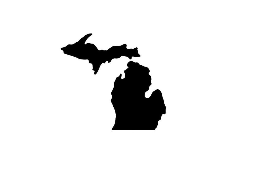 Michigan Vinyl Decal, Michigan Sticker, State of Michigan Outline ...