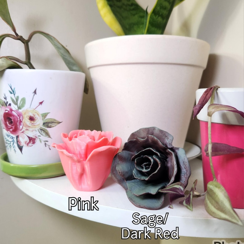 Forever Rose Shelf Decor - Etsy